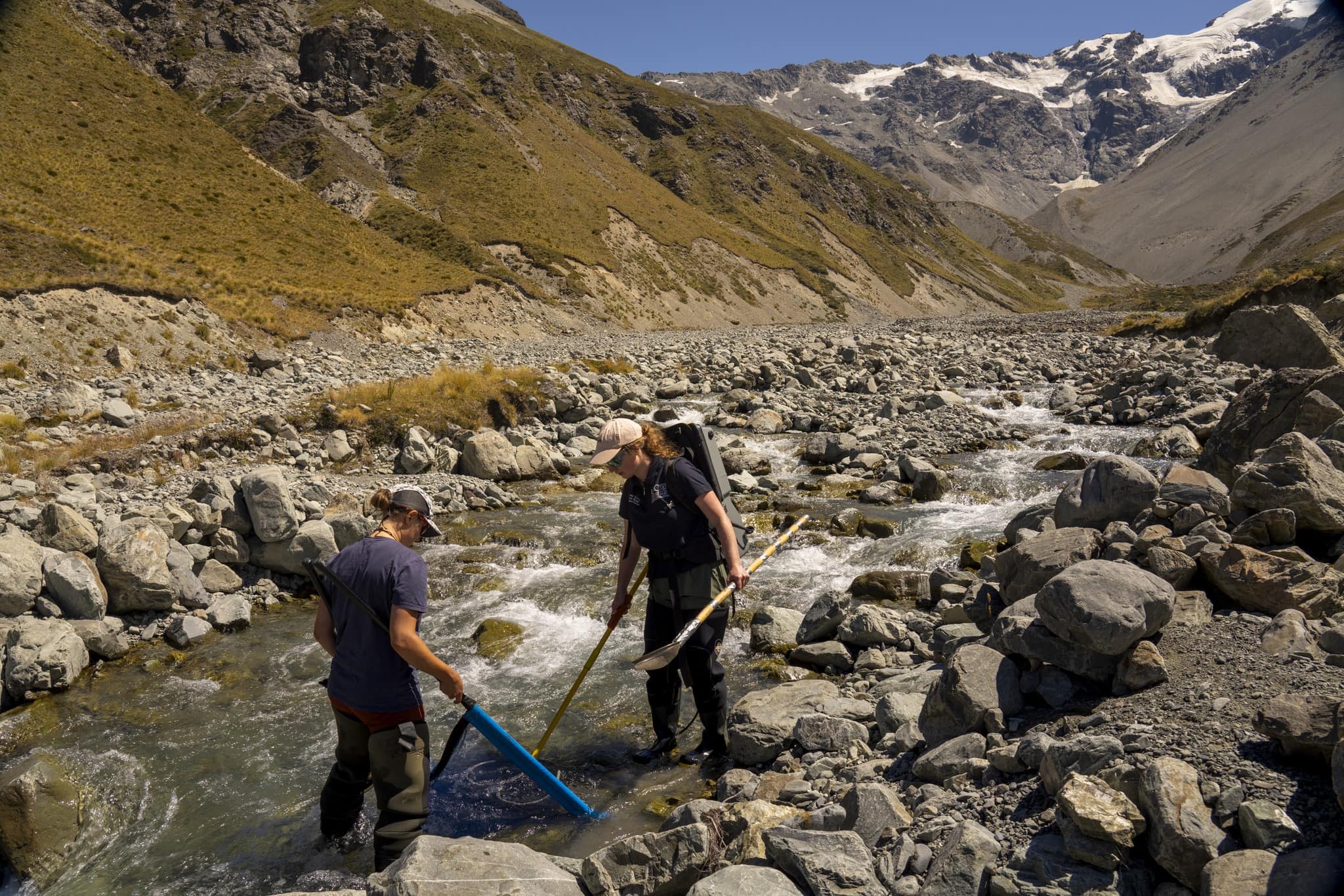 Cass River sampling - Jan 2024 - Fish Futures