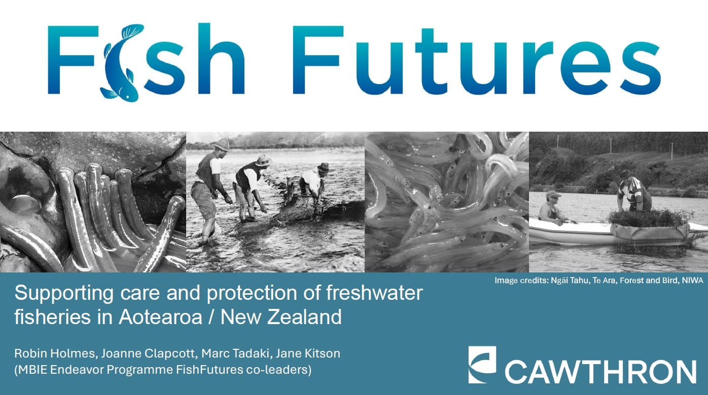 Conference Presentation - American Fisheries Society 2024 - Fish Futures